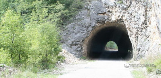Поездка из Бара на реку Пива, Пивское озеро и город Плужине